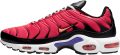 Nike Air Max Plus Review, Facts, Comparison | RunRepeat