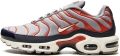Nike Air Max Plus Review, Facts, Comparison | RunRepeat