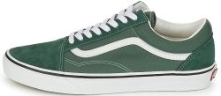 Vans Old Skool Review, Facts, Comparison | RunRepeat