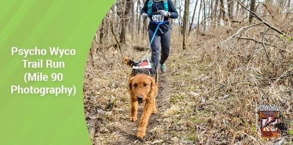 The Dog Race Database: Fido, Fitness and Fun | RunRepeat