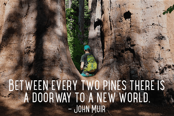 114 of the Best Hiking and Adventure Quotes of All Time | RunRepeat