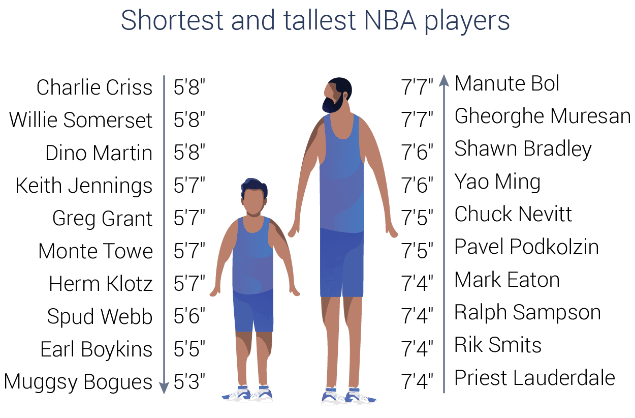 Shortest vs Tallest NBA Player -Dive Into the Extremes of the NBA ...