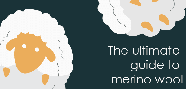 The Ultimate Guide to Merino Wool | RunRepeat