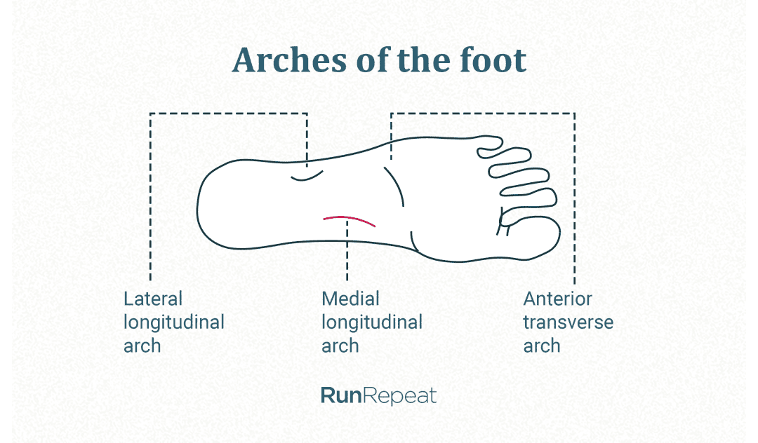 Arch Support for Runners: What, How and Why [In-Depth Guide] | RunRepeat