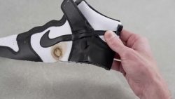 Cut in half: Nike Dunk High Review (2024) | RunRepeat
