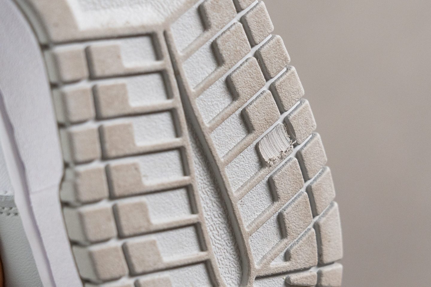 Cut in half: Nike Dunk Low Review (2024) | RunRepeat