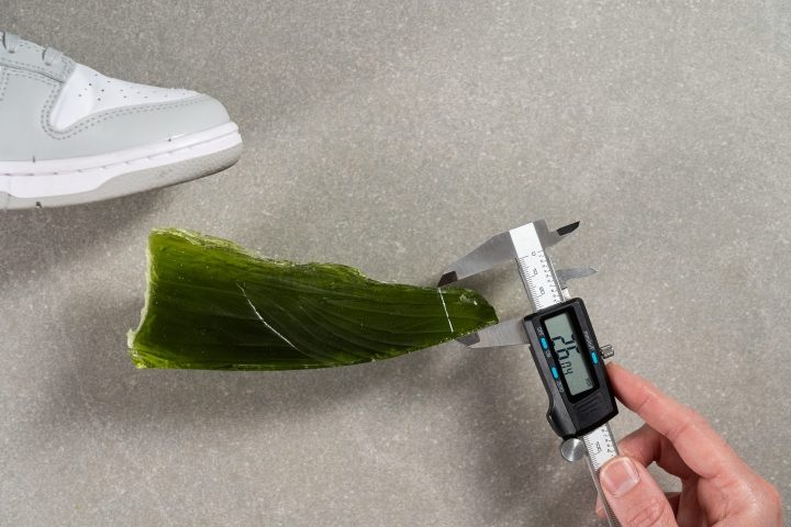 Cut in half: Nike Dunk Low Review | RunRepeat