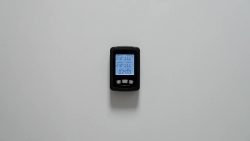 Cut in half: Nike Dunk Low Review | RunRepeat