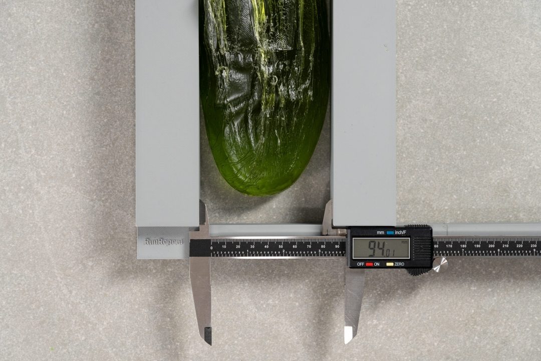 Cut in half: Nike Dunk Low Review (2024) | RunRepeat