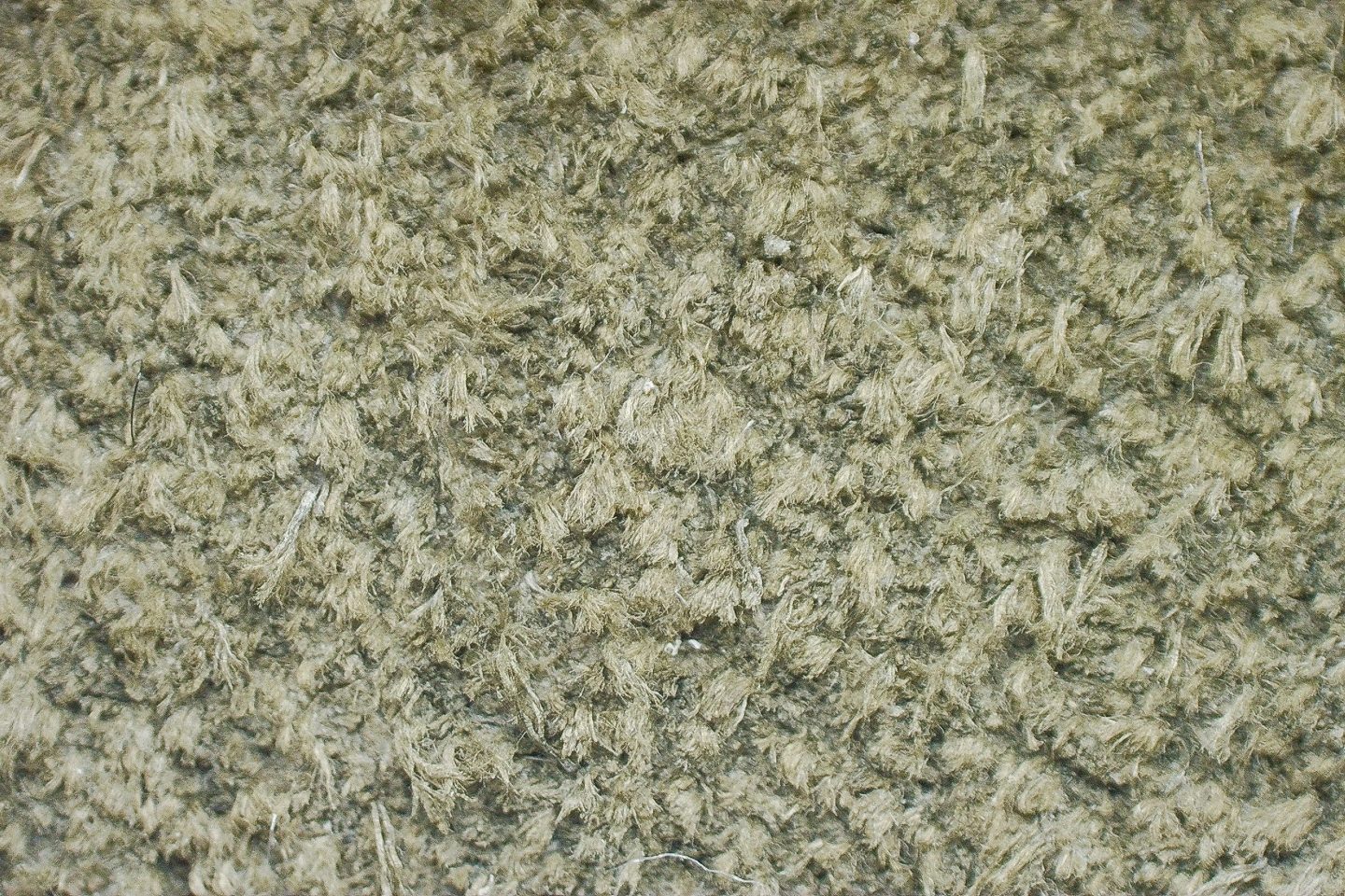 Cut in half: Vans Half Cab Review | RunRepeat