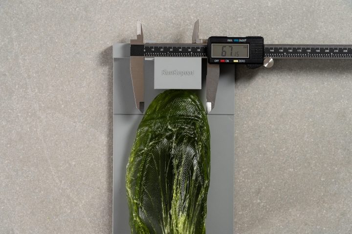 Cut in half: Jordan 6 Rings Review | RunRepeat