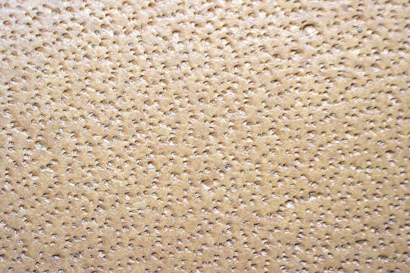 Cut in half: Danner Mountain Pass Review (2024) | RunRepeat