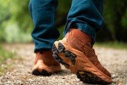 Cut in half: Hoka Anacapa Mid GTX Review | RunRepeat