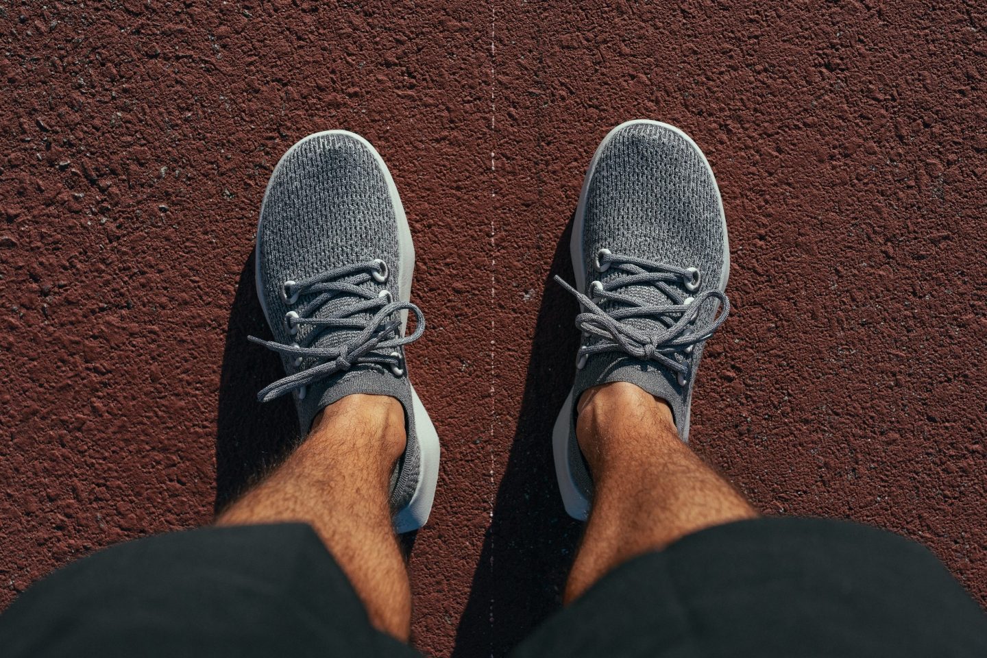 Cut in half: Allbirds Tree Dasher Review | RunRepeat