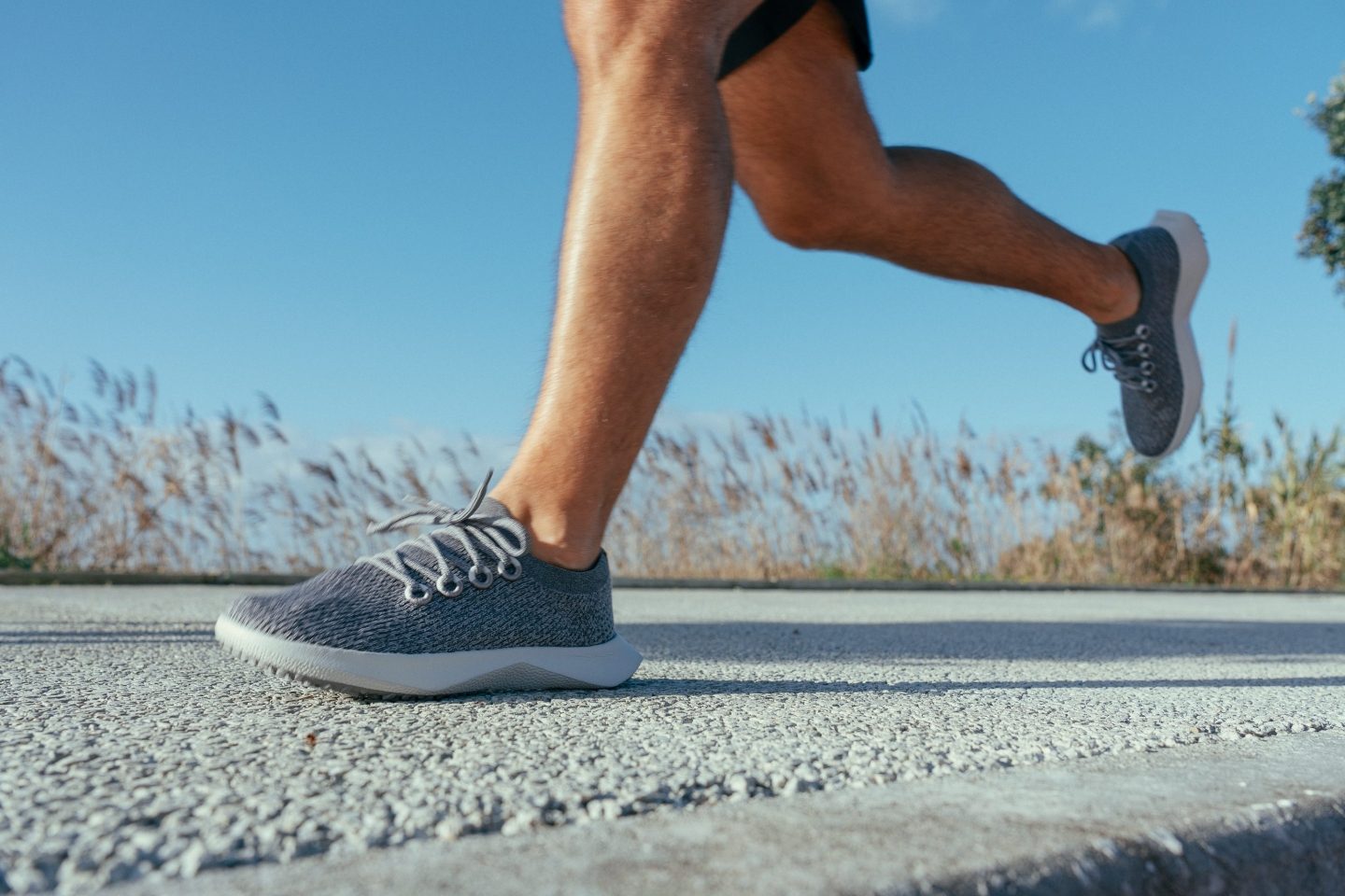 Cut in half: Allbirds Tree Dasher Review | RunRepeat