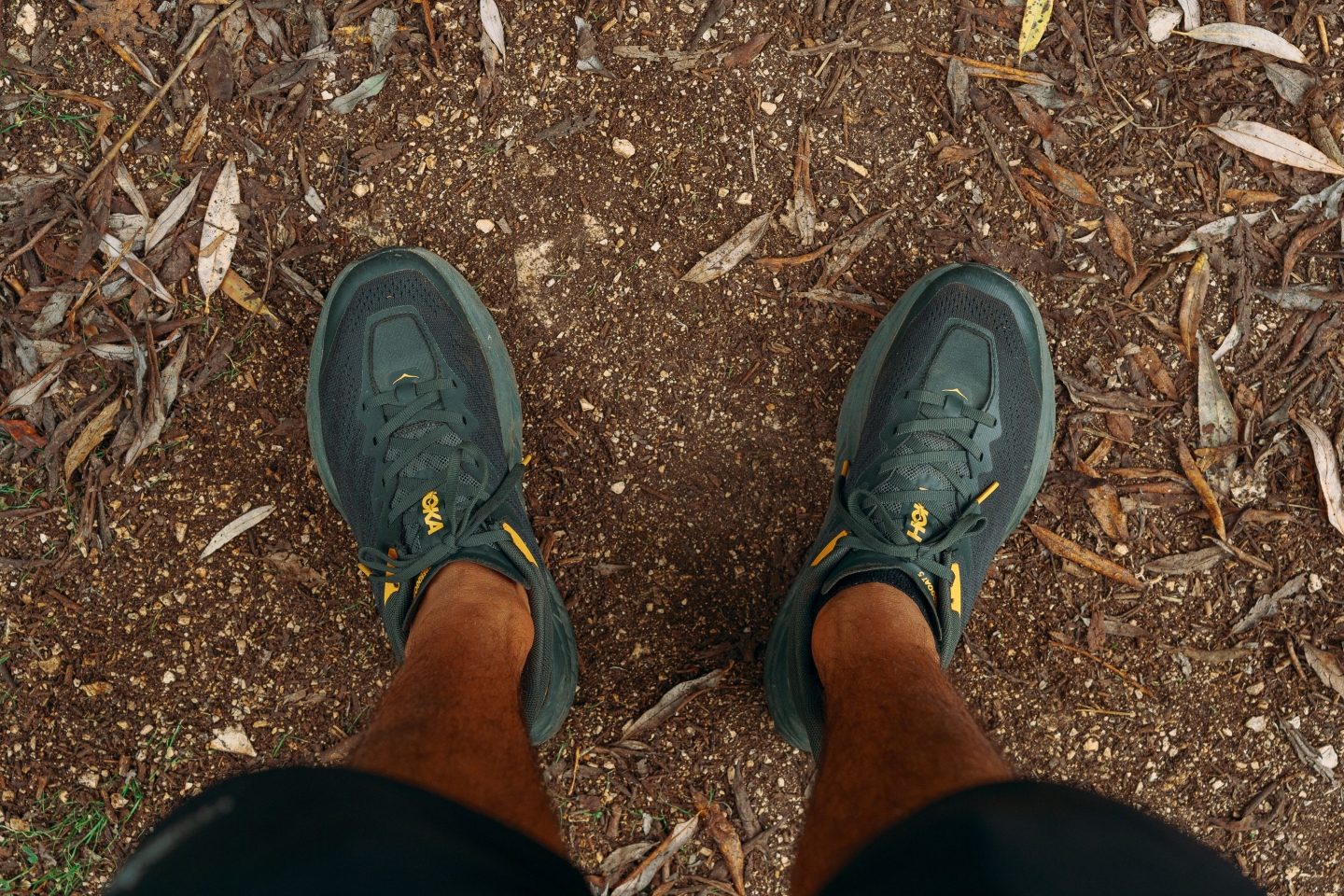 Cut in half: Hoka Speedgoat 5 Review | RunRepeat