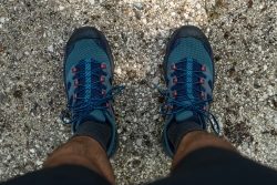 Cut in half: La Sportiva Ultra Raptor II GTX Review (2025) | RunRepeat