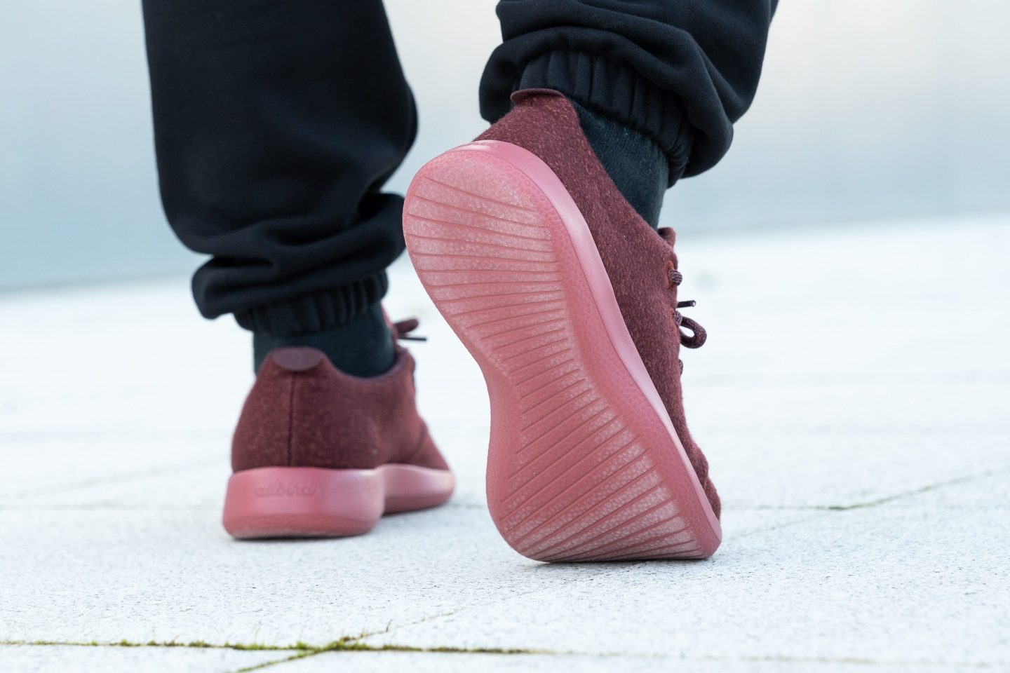 Cut in half: Allbirds Wool Runners Review | RunRepeat