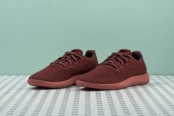 Cut in half: Allbirds Wool Runners Review | RunRepeat