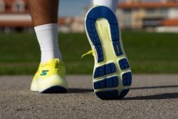 Cut in half: Skechers GO RUN Max Road 6 Review | RunRepeat