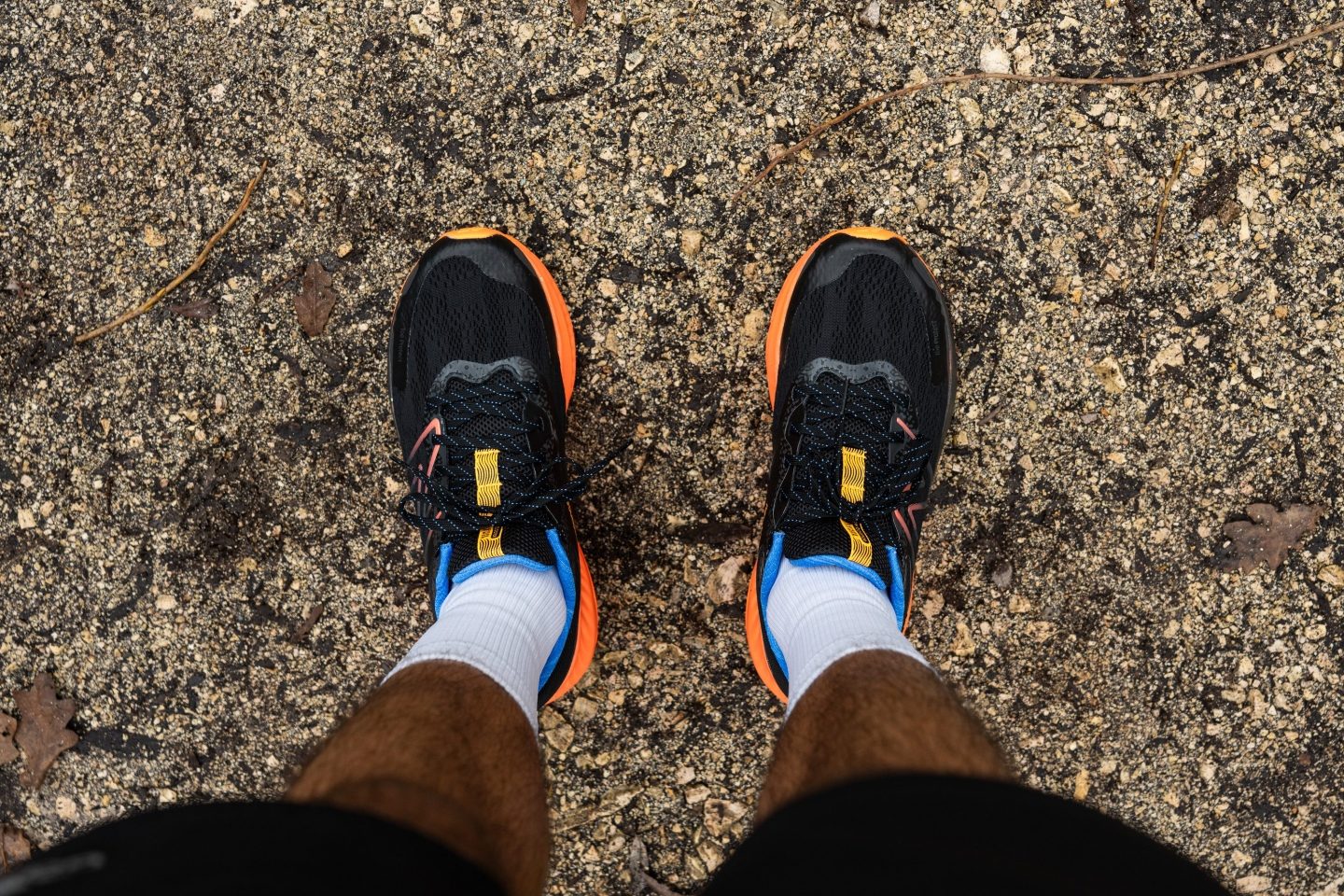Cut in half: New Balance DynaSoft Nitrel v5 Review | RunRepeat