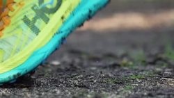 Cut in half: Hoka Tecton X 2 Review | RunRepeat