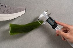 Cut in half: Skechers Arch Fit 2.0 Review | RunRepeat