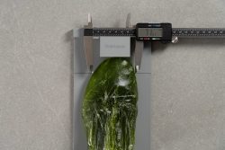 7 Best Shoes For Jumping Rope in 2025 | RunRepeat