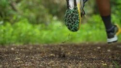 3 Best Brooks Trail Running Shoes in 2025 | RunRepeat
