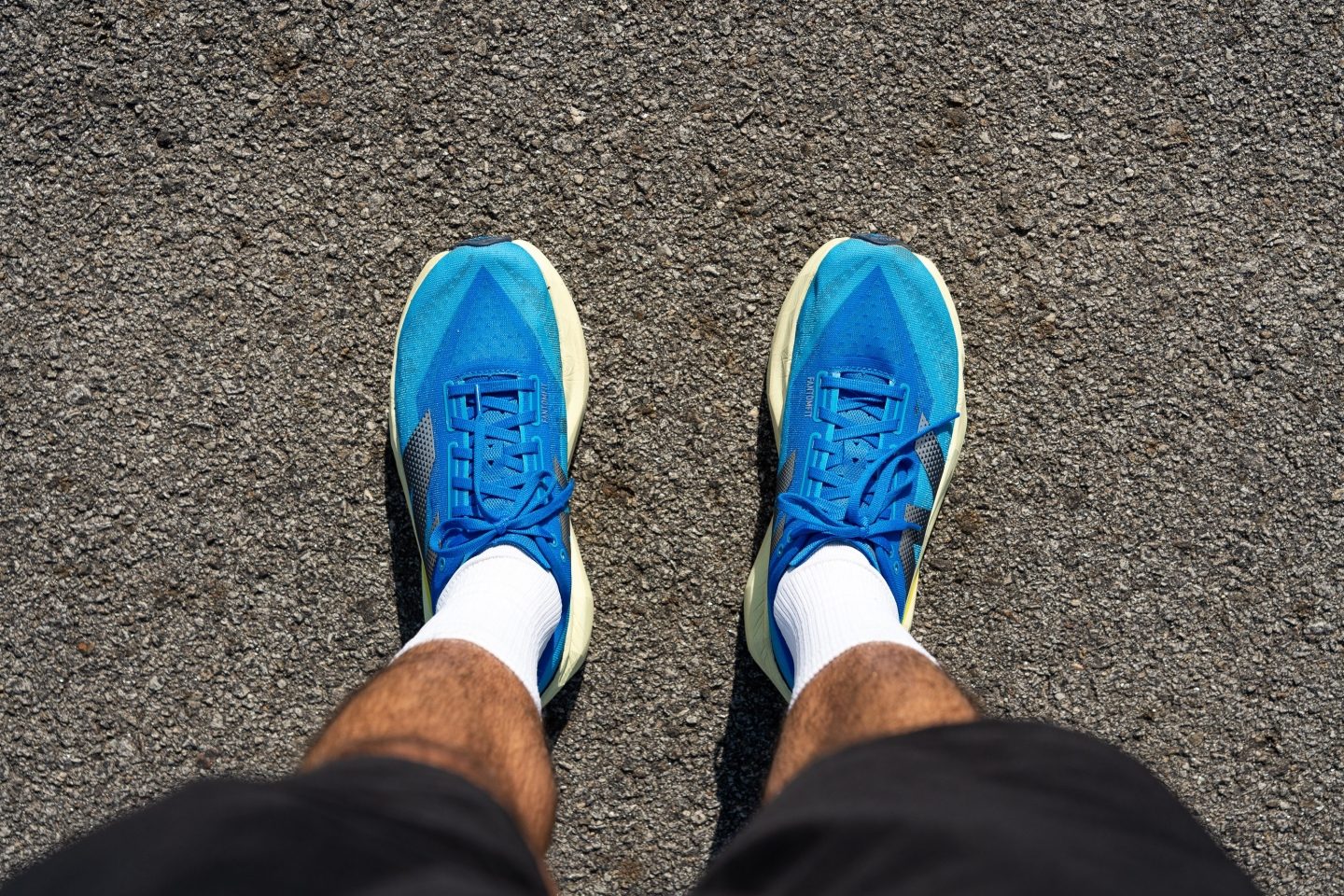 Cut in half: New Balance FuelCell Rebel v4 Review | RunRepeat