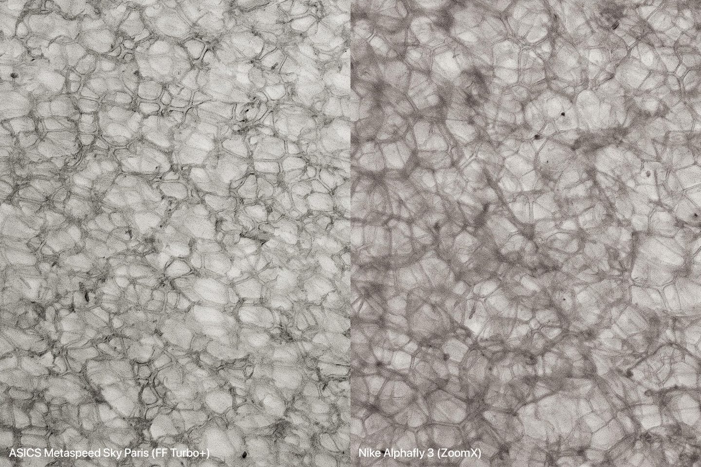 Cut in half: ASICS Metaspeed Sky Paris Review (2024) | RunRepeat