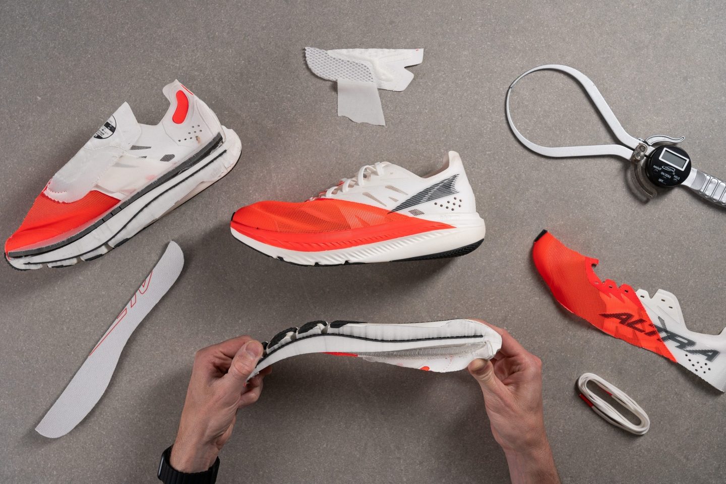 Cut in half: Altra Vanish Carbon 2 Review (2024) | RunRepeat