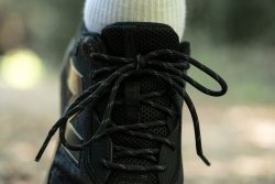Cut in half: New Balance DynaSoft Nitrel v6 Review | RunRepeat