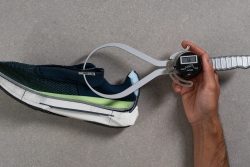 Cut in half: New Balance FuelCell Propel v5 Review (2024) | RunRepeat