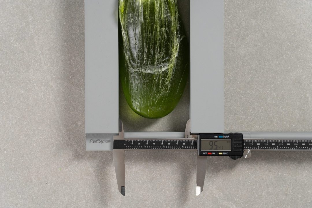 Cut in half: Brooks Revel 7 Review | RunRepeat