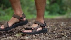Cut in half: Teva Hydratrek Review (2024) | RunRepeat