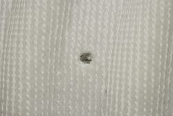 Cut in half: Jordan Luka 3 Review | RunRepeat