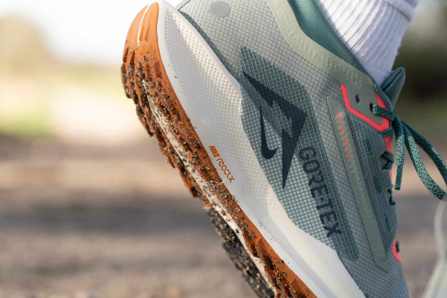 Cut in half: Nike Pegasus Trail 5 GTX Review (2024) | RunRepeat