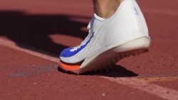 7 Best Track Spikes | RunRepeat