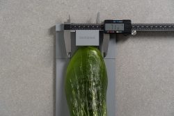 Cut in half: On Cloudnova Form 2 Review | RunRepeat