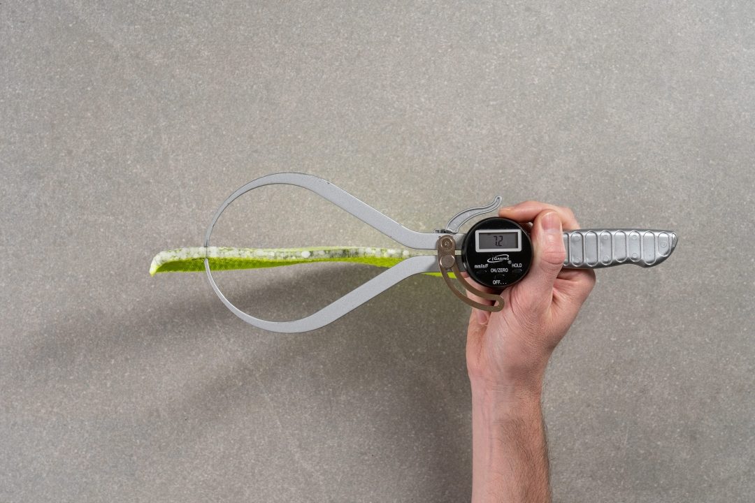 Cut in half: Inov8 Roadfly Review (2024) | RunRepeat