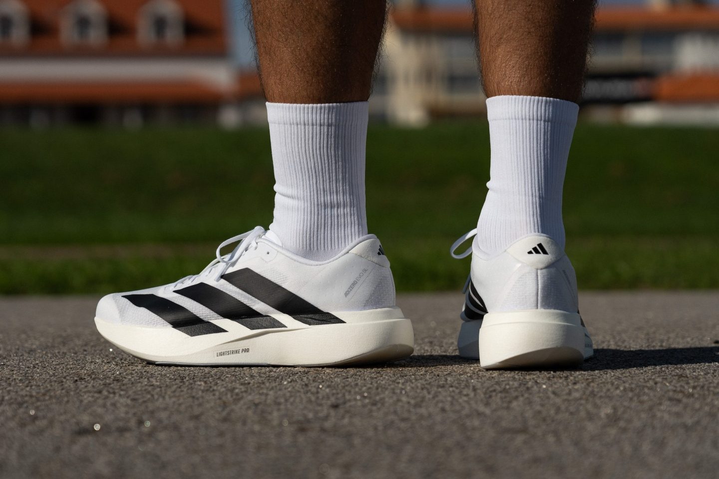 Cortadas por la mitad: Análisis y review de las Adidas Adizero EVO SL (2024) | RunRepeat