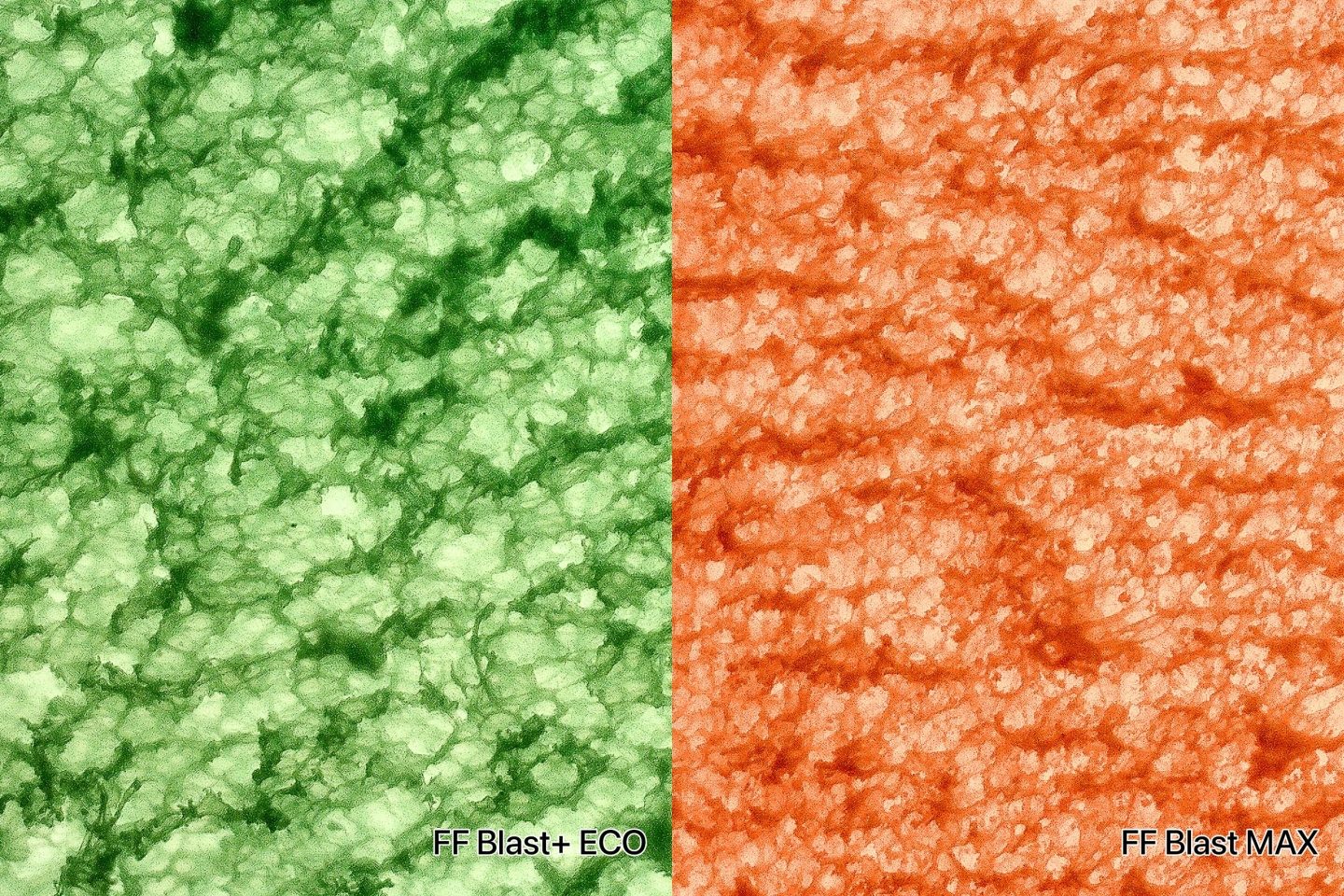 Cut in half: ASICS Novablast 5 Review (2024) | RunRepeat