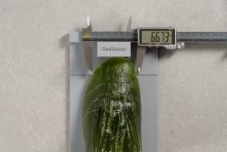 7 Best Running Shoes For 5K And 10K Races in 2024 | RunRepeat