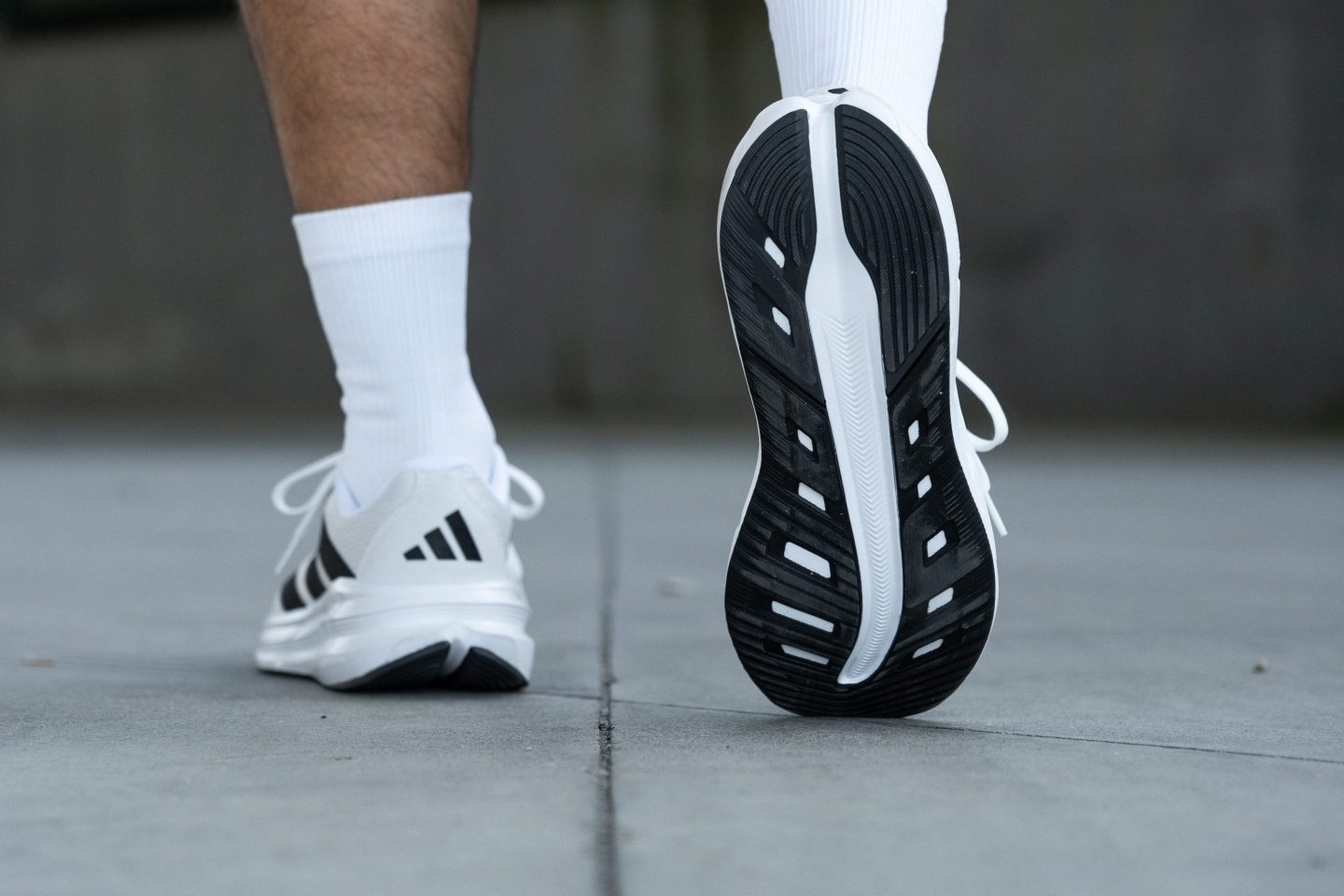 Cut in half: Adidas Questar 3 Review (2025) | RunRepeat