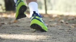 Cut in half: Inov8 Trailfly Max Review (2025) | RunRepeat