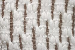 Cut in half: New Balance FuelCell SuperComp Elite v5 Review (2025 ...