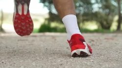 Cut in half: Salomon S/Lab Pulsar 4 Review (2025) | RunRepeat